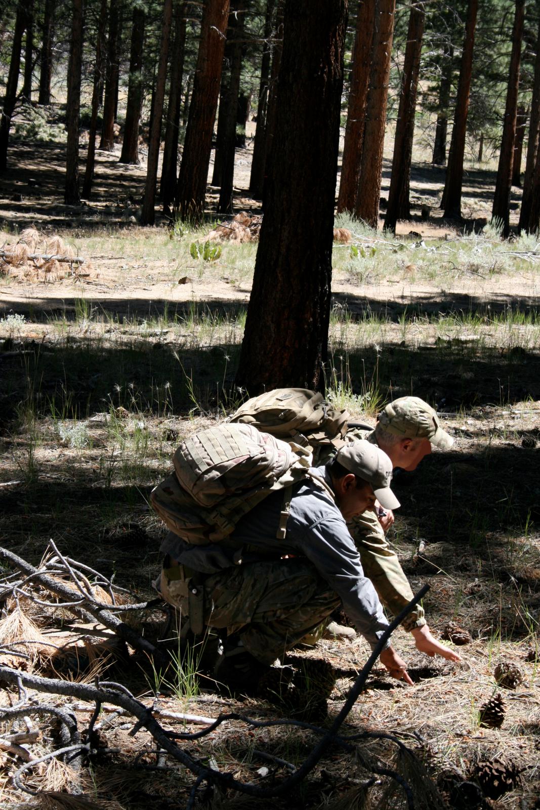 Training on Tuesday: the Tracker's OODA Loop | Military.com